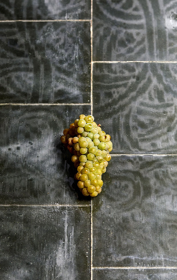 Cru Clisson - Melon de Bourgogne - Locus